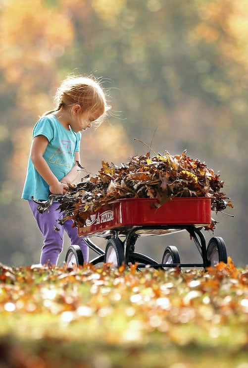 Toy Superstore - Shop our great range of kids toys online · Toy Superstore